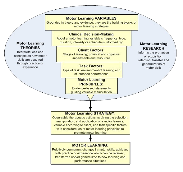 The Motor Learning Strategy Clinical Decision-Making Process - CP-NET